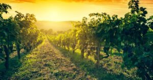 Italy In September - The Best Time To Visit Italy? - All Roads Lead To ...